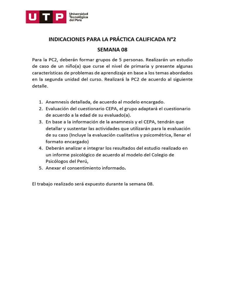 INDICACIONES PARA LA PC2 | PDF