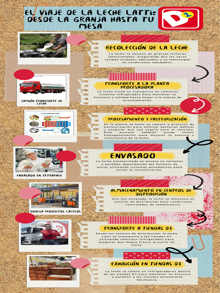 Infografía Producción y Distribución de La Leche Latti. | PDF