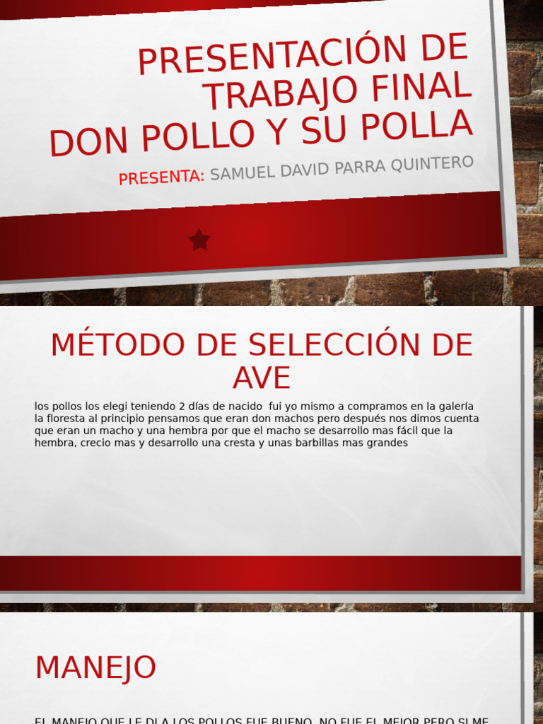 Don Pollo y Su Polla | PDF