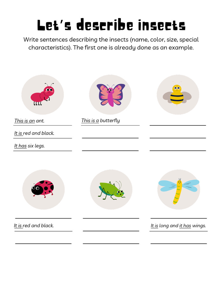 Descriptive Writing Worksheet PDF | PDF