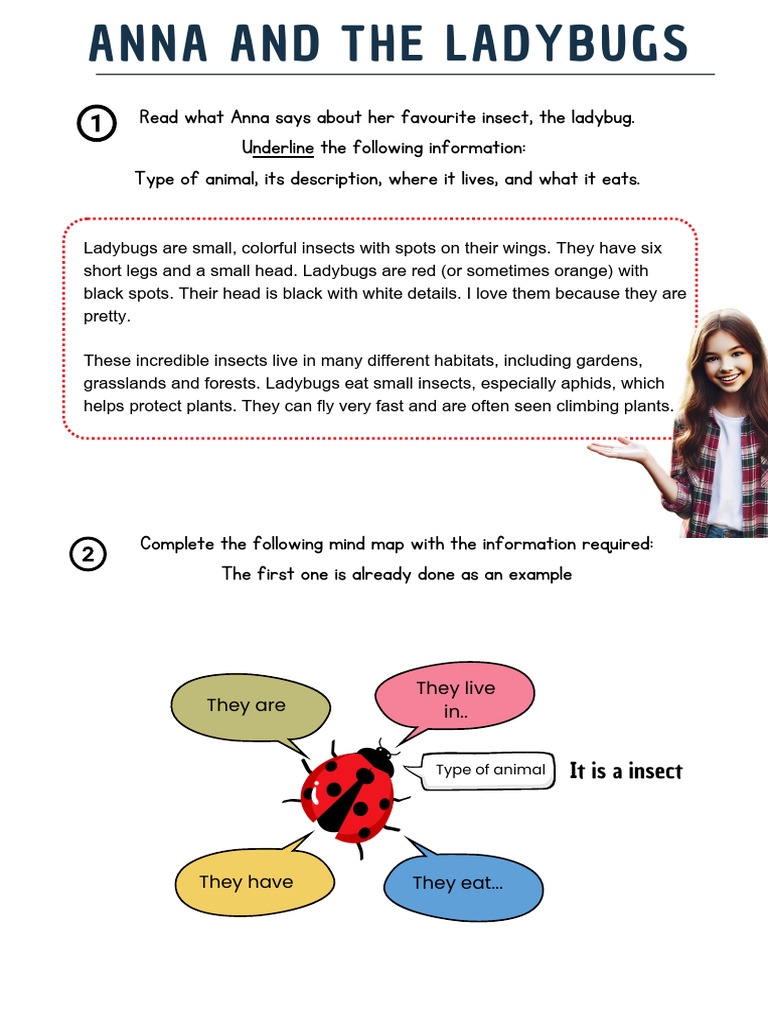 Ladybug Facts for Kids | PDF