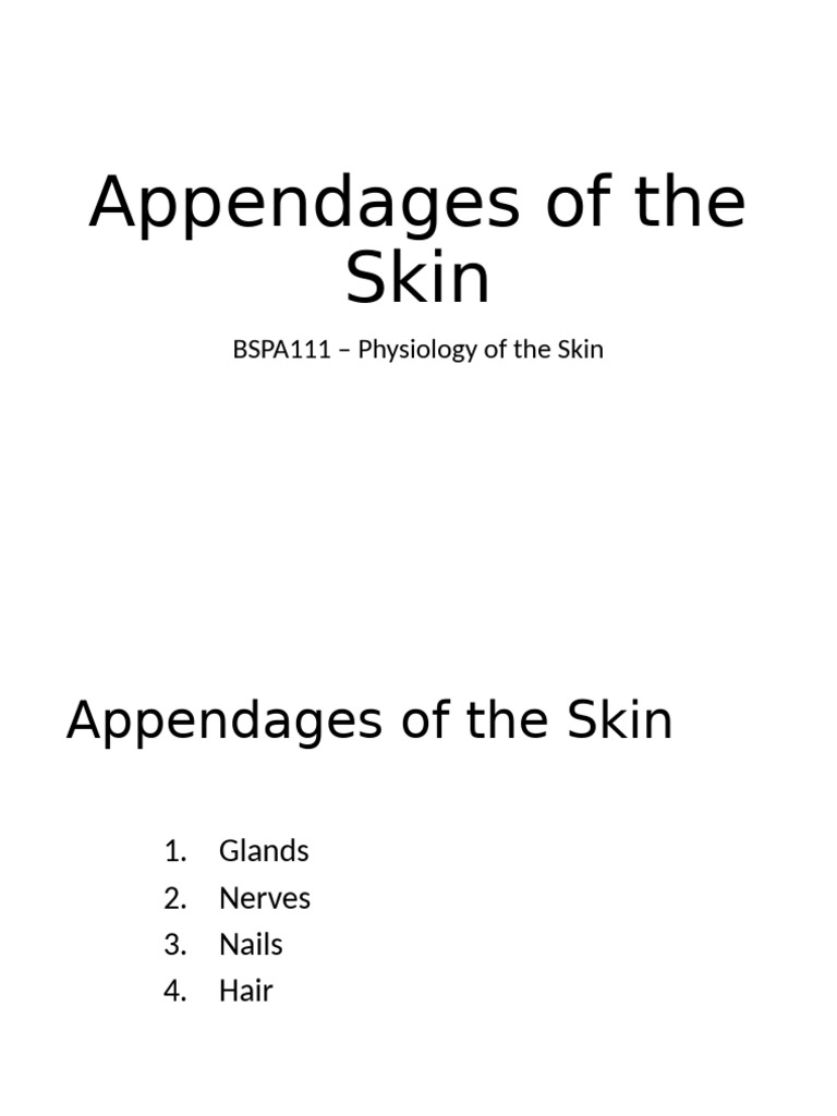 Skin Appendages: Glands, Nerves, Hair, Nails | PDF | Nail (Anatomy) | Skin