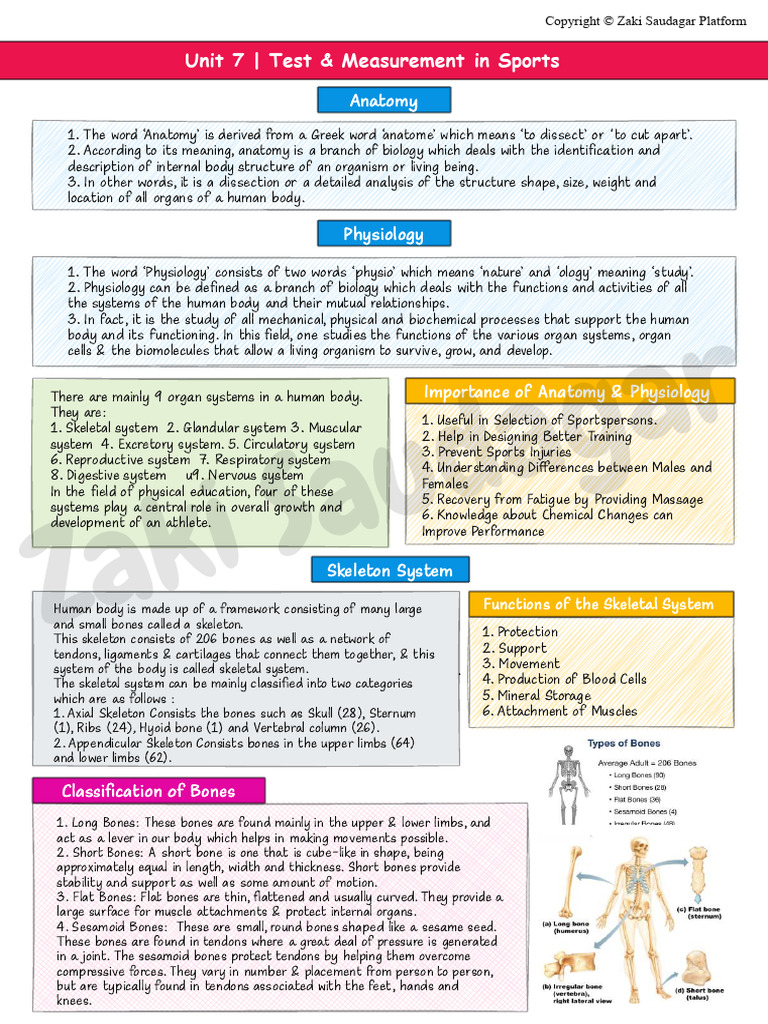 Tinywow PE Class 11 65227254 | PDF