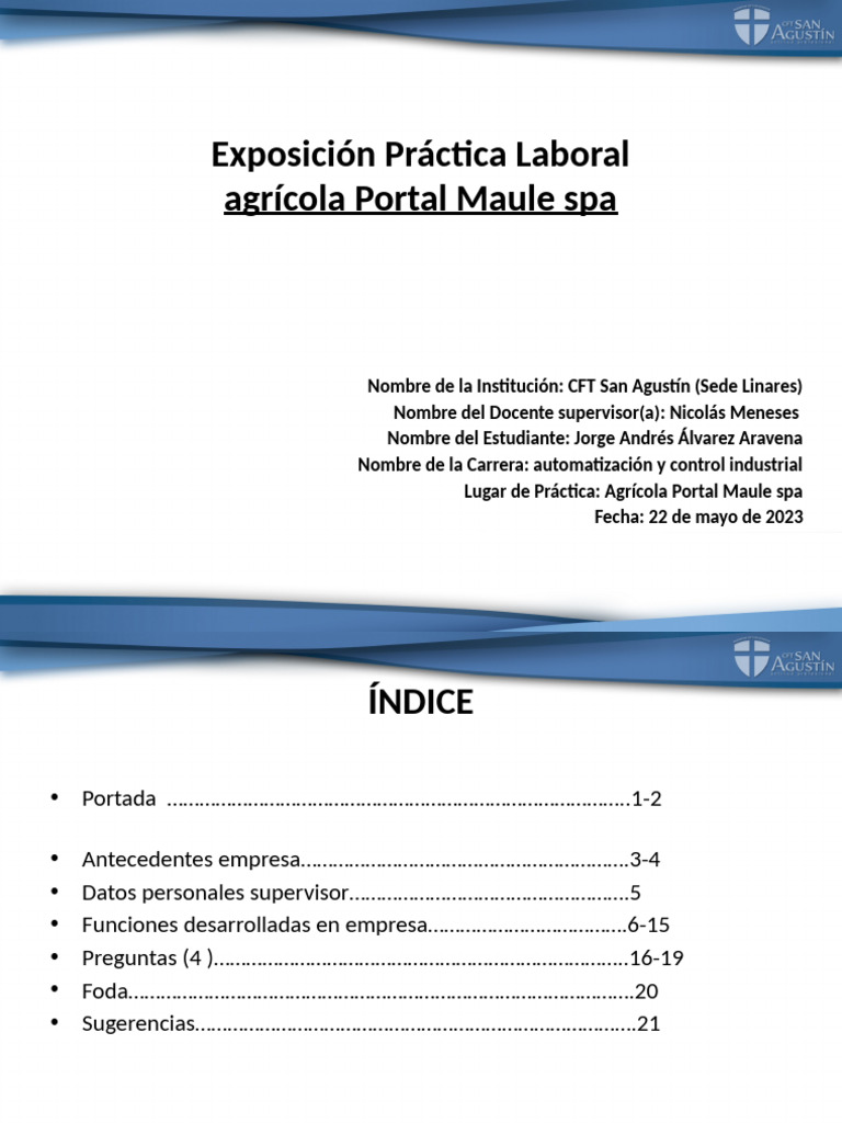 Formato y Estructura Del PPT 2023 | PDF