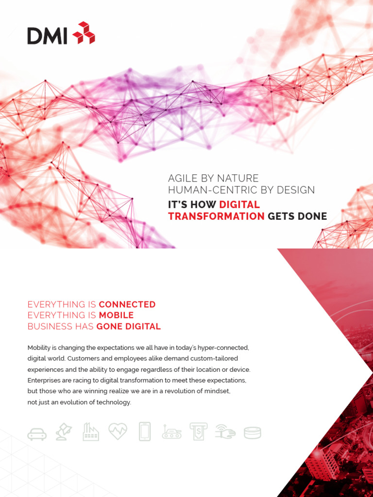 DMI Overview Booklet 1 | PDF