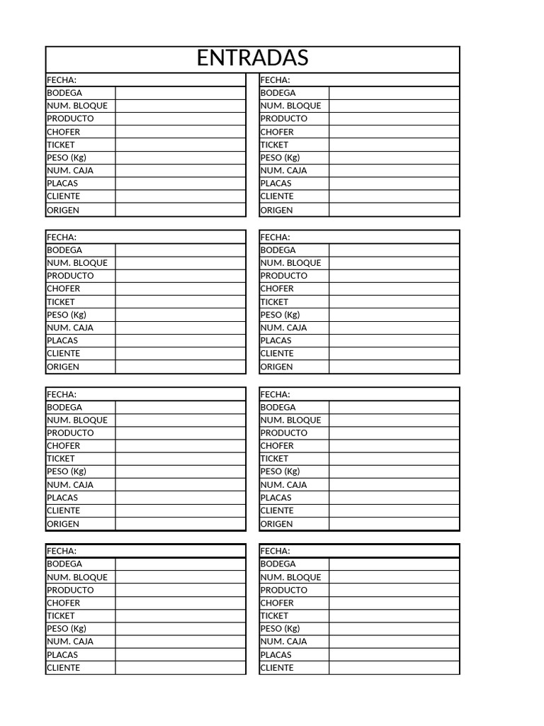 Formatos de Entradas y Salidas | PDF