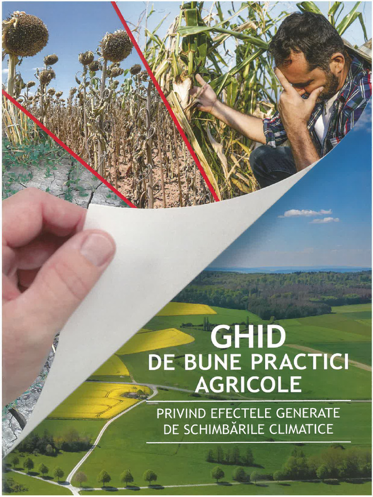 Ghid de Bune Practici Agricole | PDF