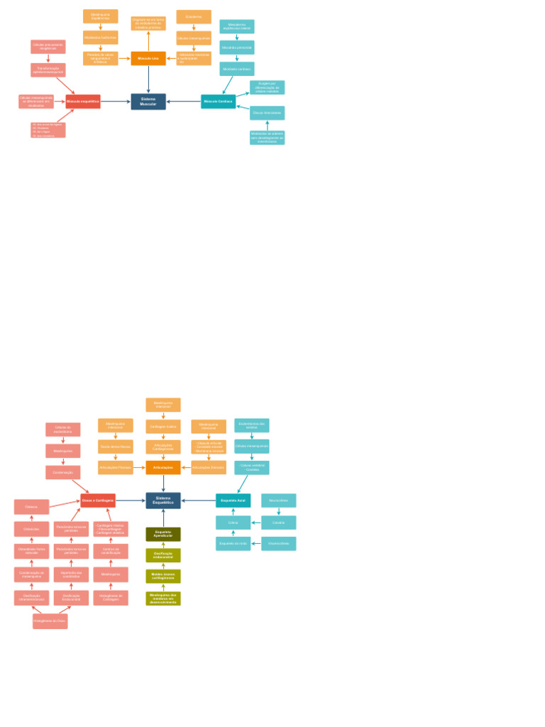 Mapa Mental Embrio | PDF