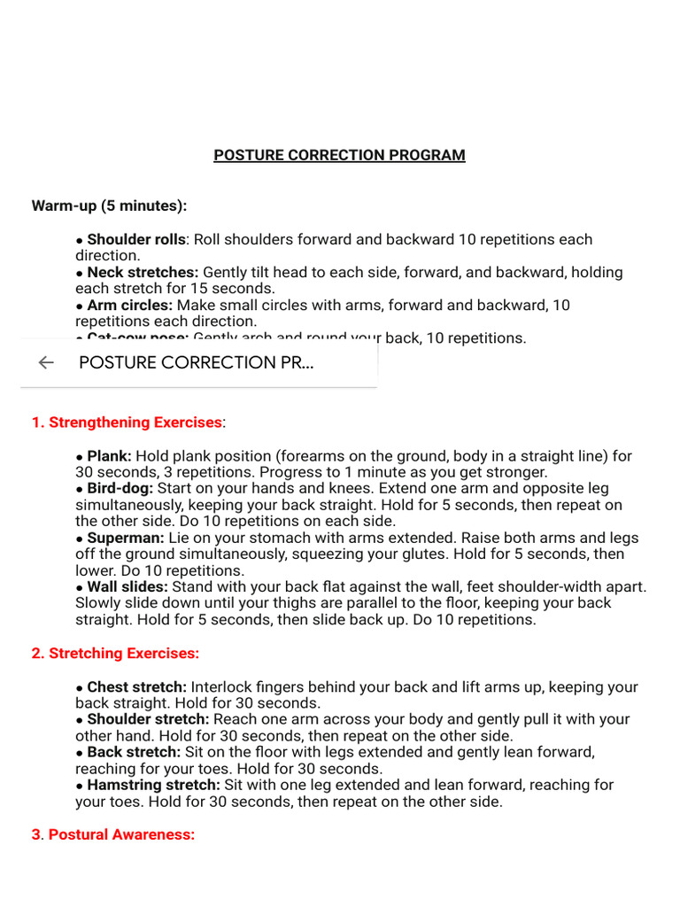 Posture Correction Program | PDF