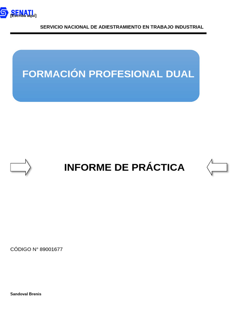 Lpad-617 Informe de Mensual 01 San | PDF