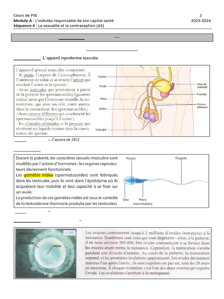 SÃ©quence 6 - S1 Les Appareils Reproducteurs Et La Reproduction - Document | PDF
