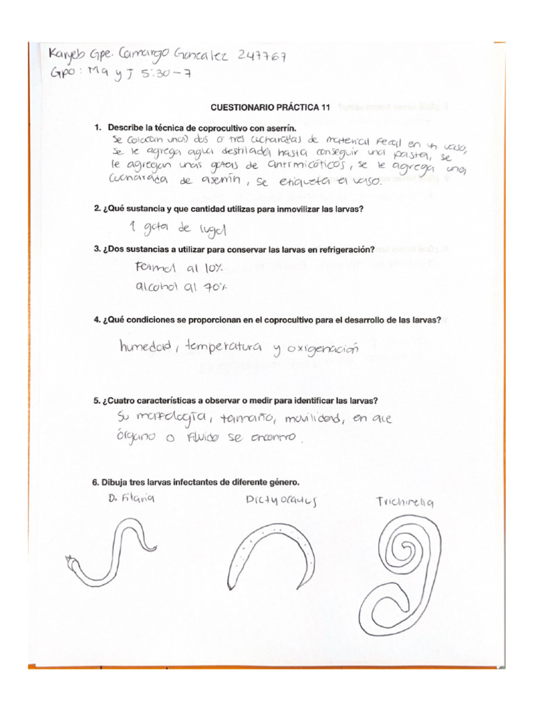 Cuestionario Práctica 11 | PDF