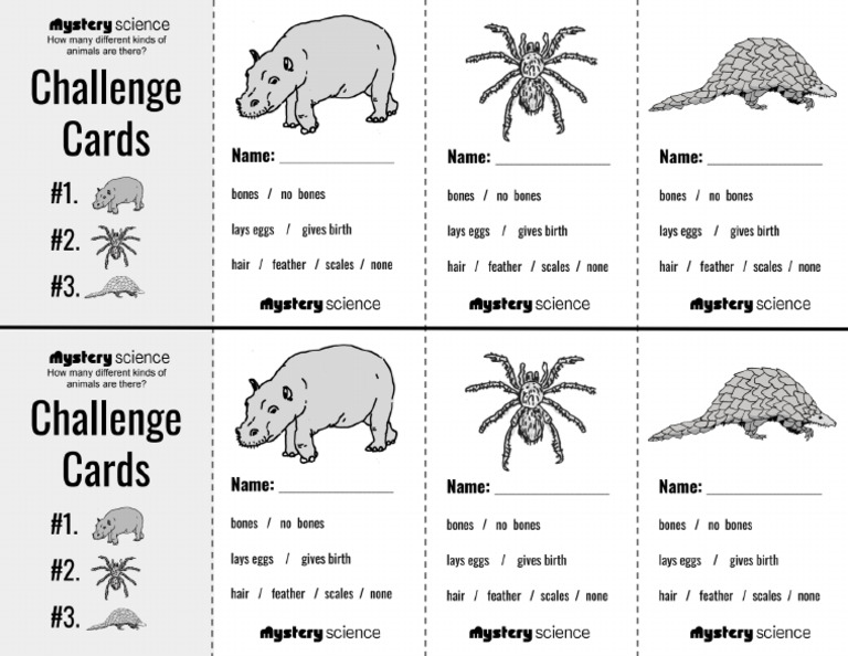 Challenge Cards Printout | PDF