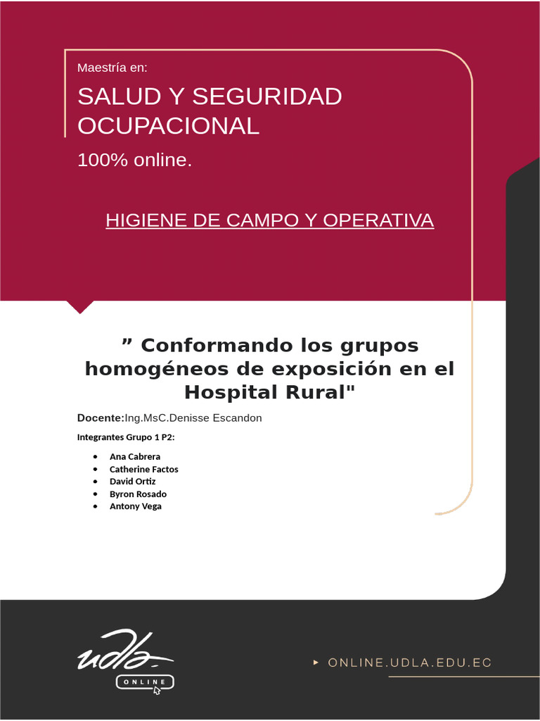 G1P2 Escenario Laboral Conformando Los Grupos Homogéneos de Exposición ...