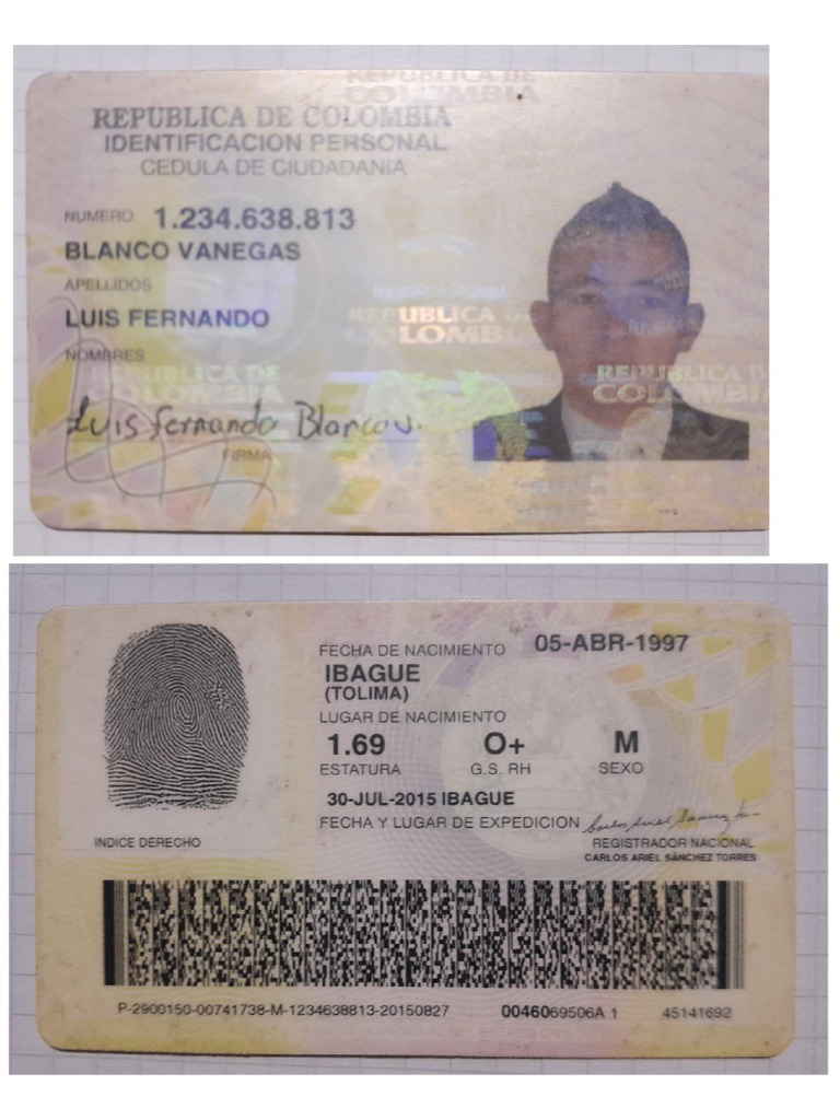 Luis Fernando Blanco Vanegas | PDF