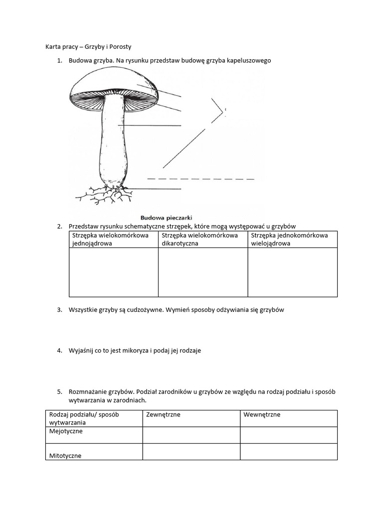 Karta Pracy Grzyby I Porosty | PDF
