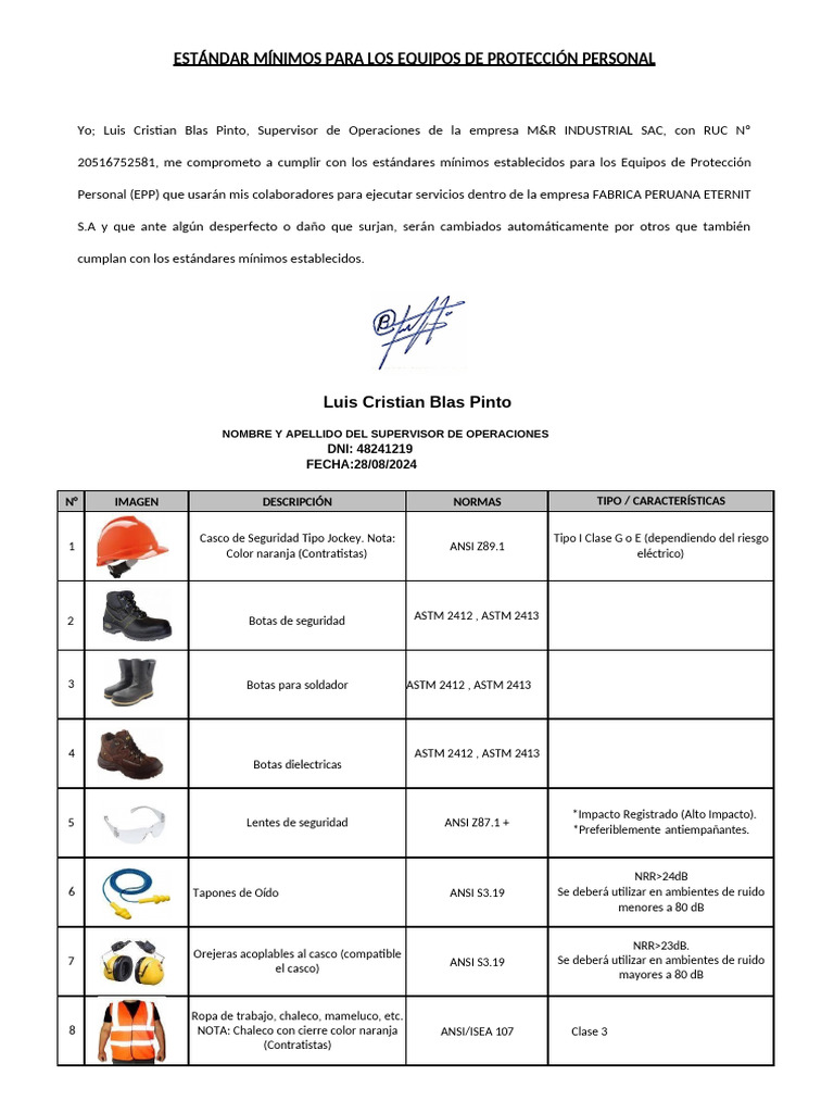 Anexo N°1 Estandar de EPP S | PDF
