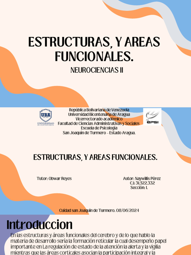 ESTRUCTURAS Y ÁREAS FUNCIONALES | PDF