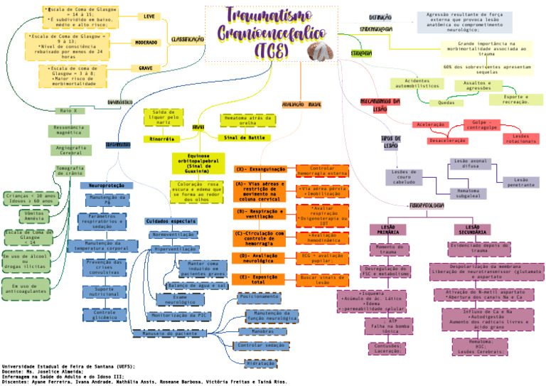 TCE (Mapa Conceitual Final) | PDF | Especialidades Medicas | Fisiología