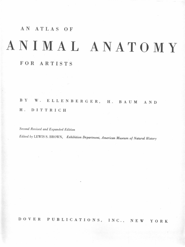 ELLENBERGER - Atlas of Animal Anatomy For Artists | PDF