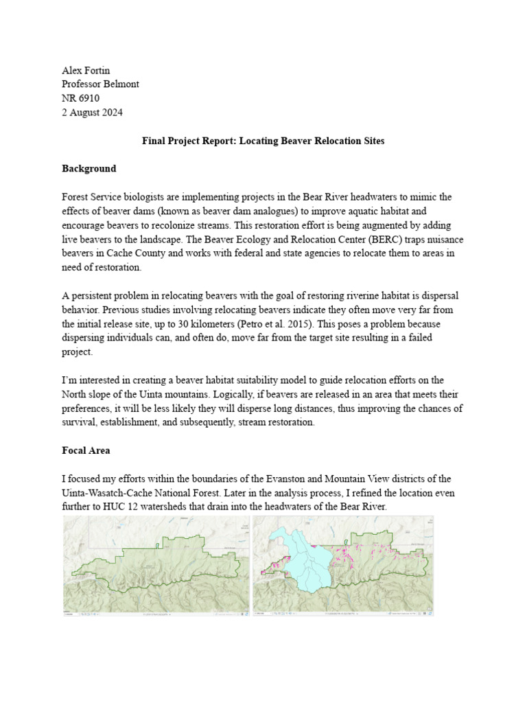 Final Project Report | PDF