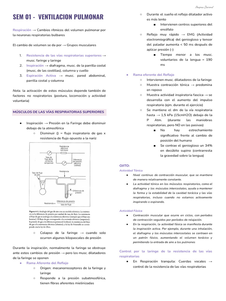 Sem 01 - Ventilacion Pulmonar | PDF
