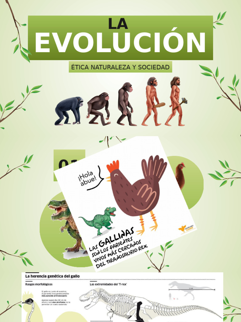 La Evolucion de Las Especies | PDF