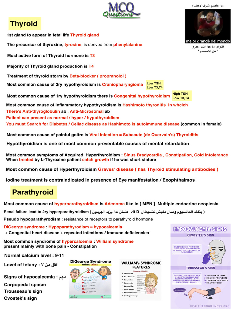 Thyroid MCQ | PDF