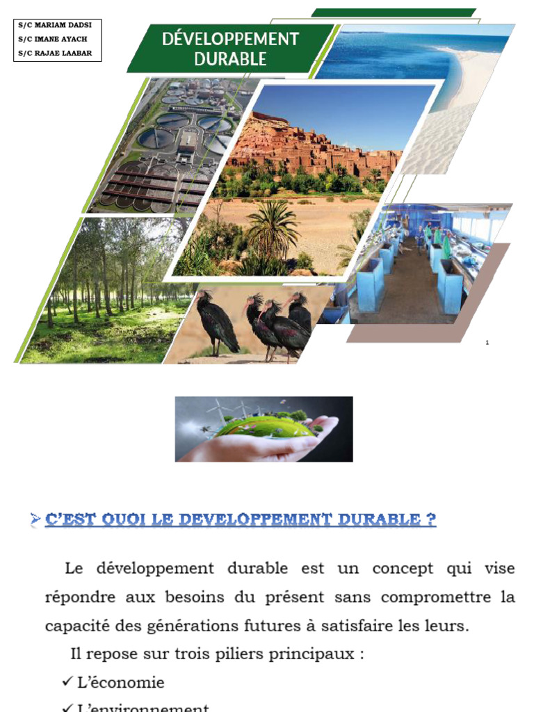 Developpement Durable | PDF