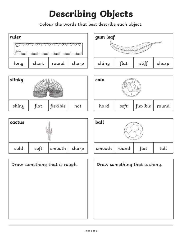 describing-objects-activity-sheet | PDF