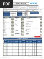 VOKE-REC-SEG-23 Procedimiento de Recorridos de Seguridad | PDF