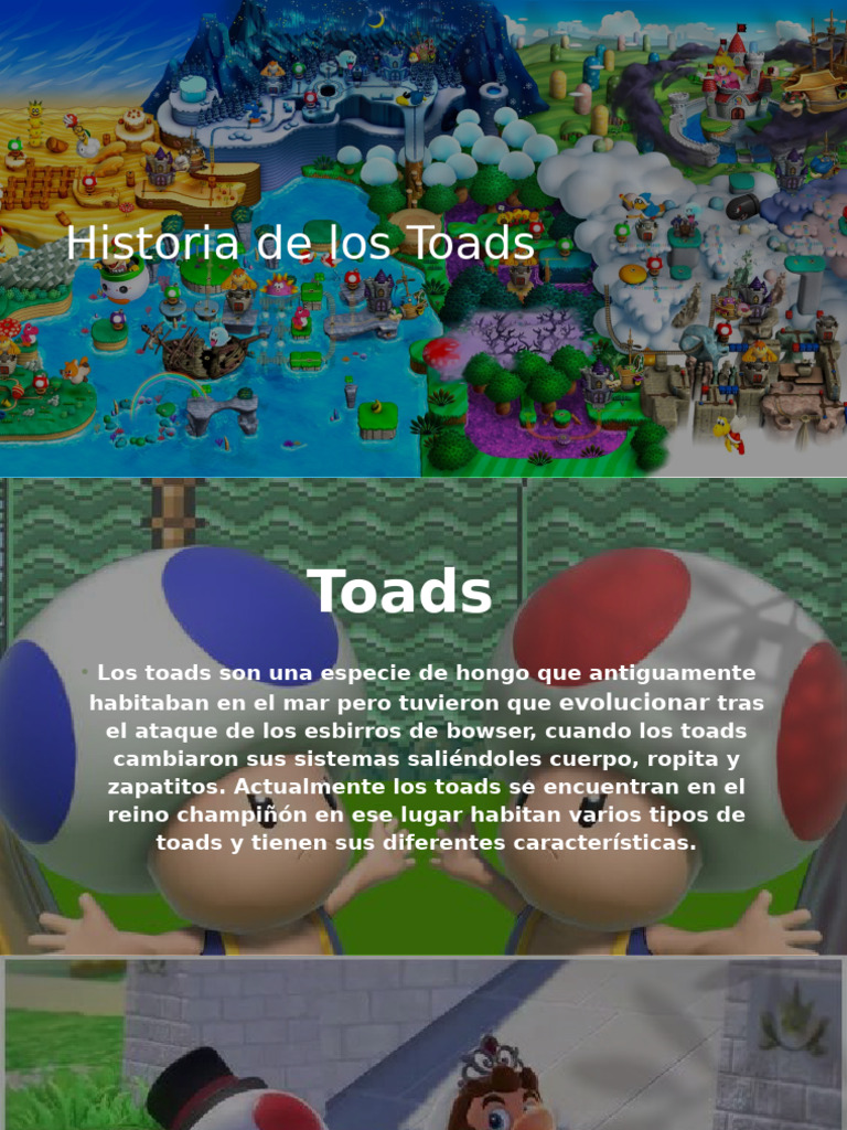 Historia de Los Toads | PDF