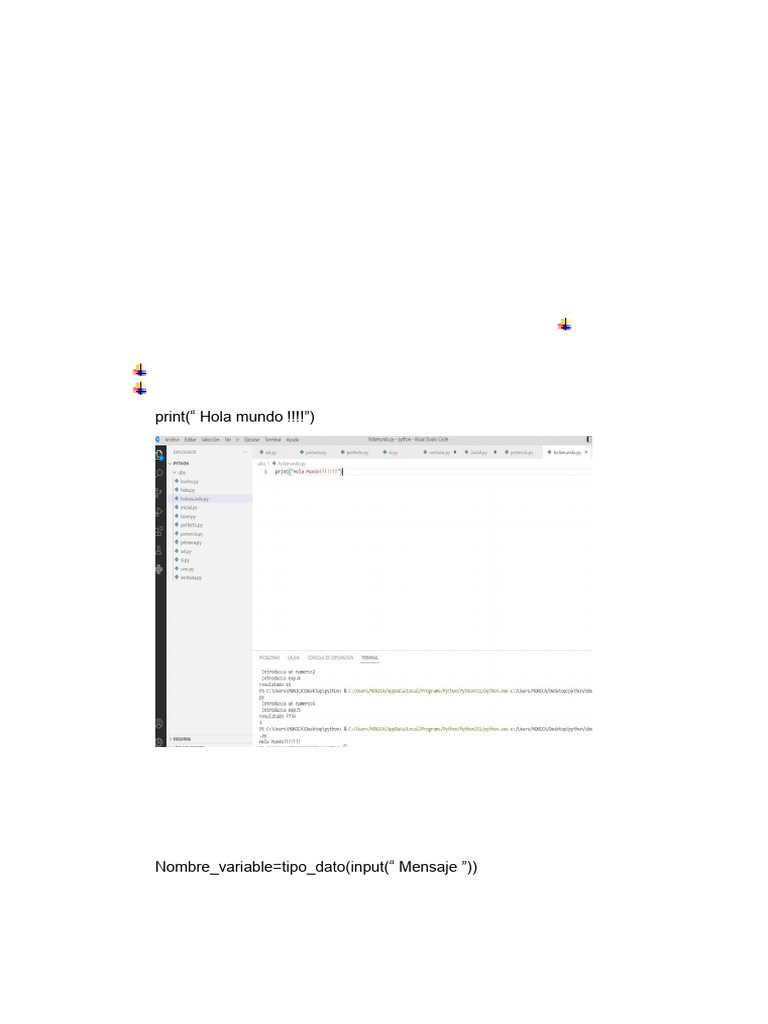 Introducción Python | PDF