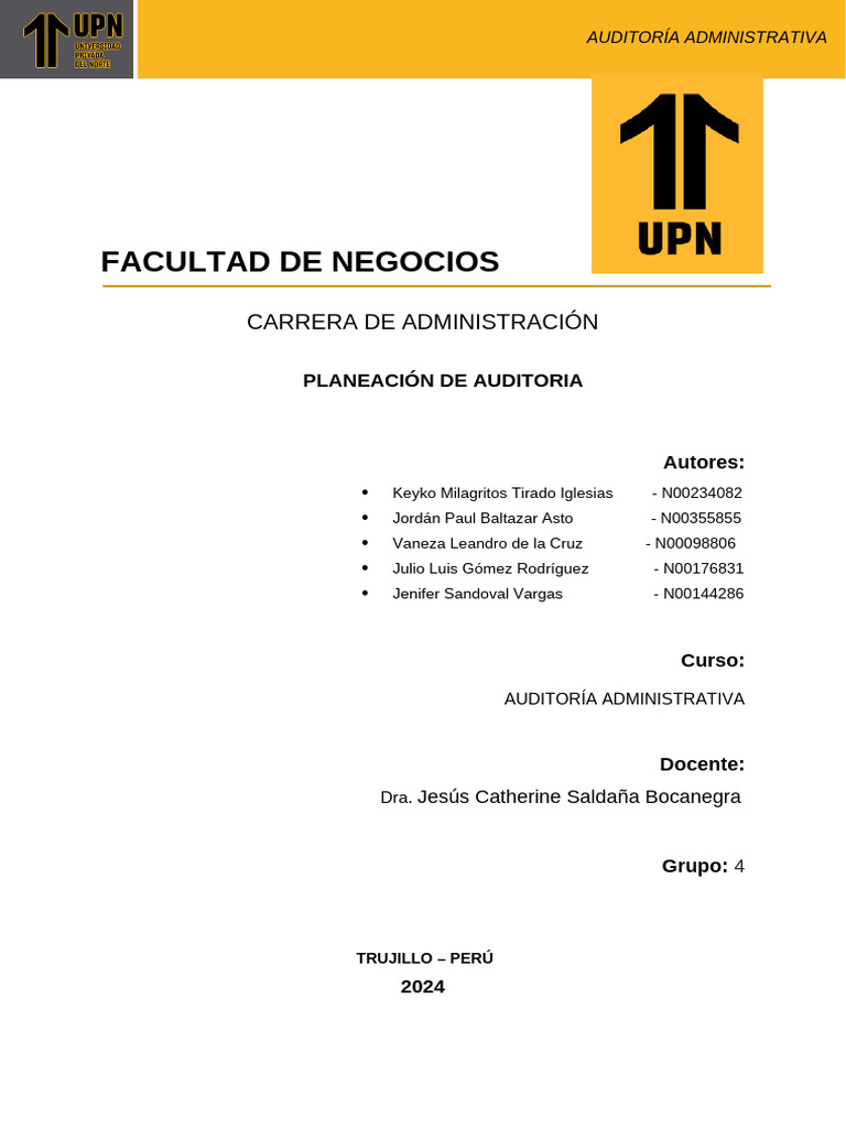Esquema Informe de Auditoria - Grupo 4 | PDF