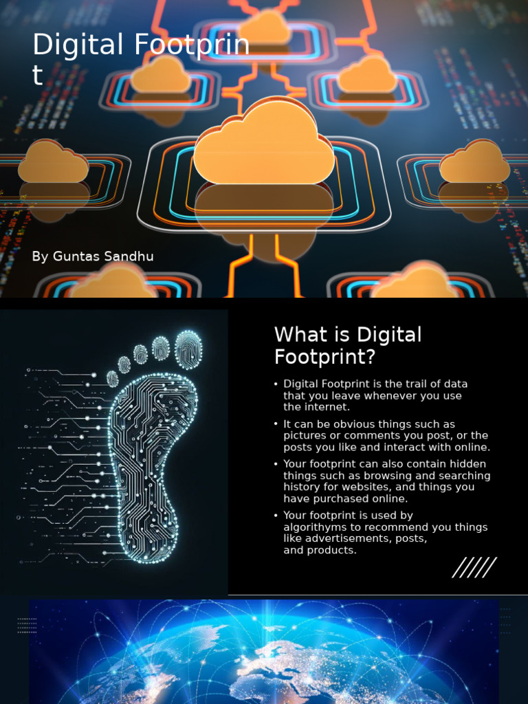 Digital Footprint | PDF