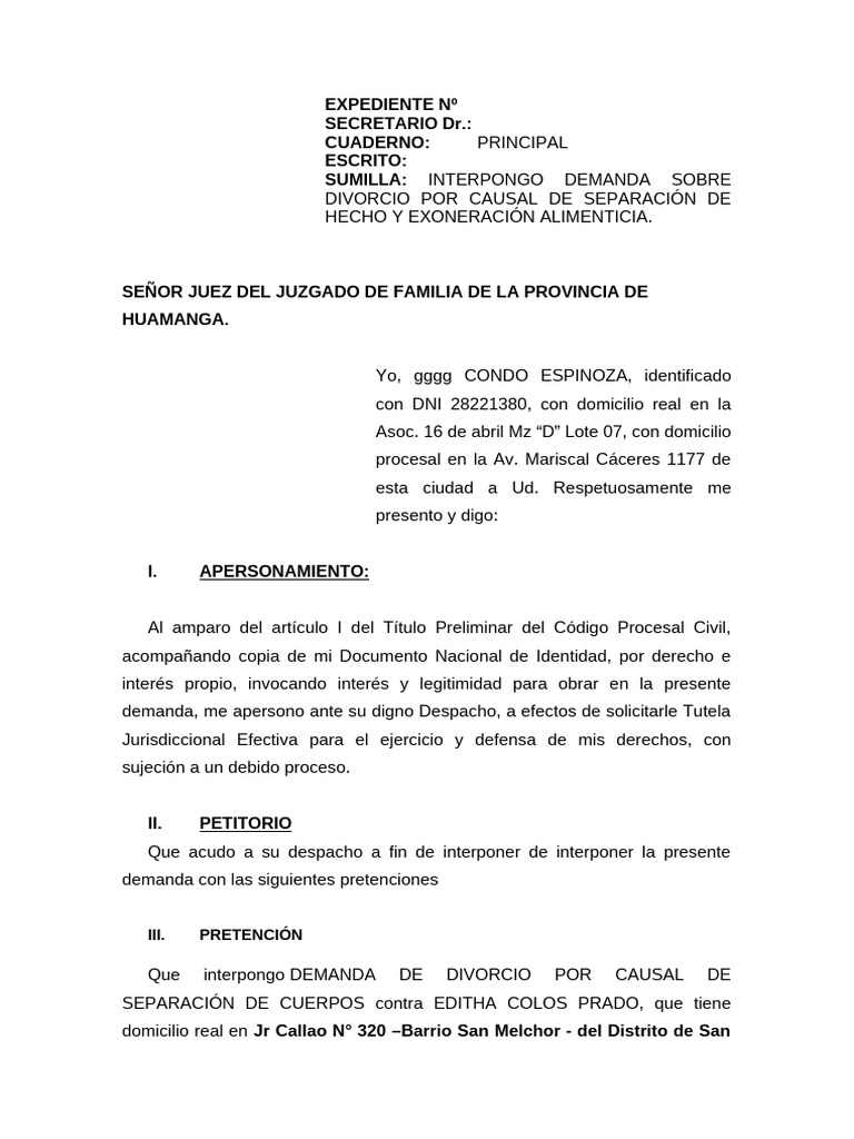 Demanda Roberto Condo Corregida | PDF