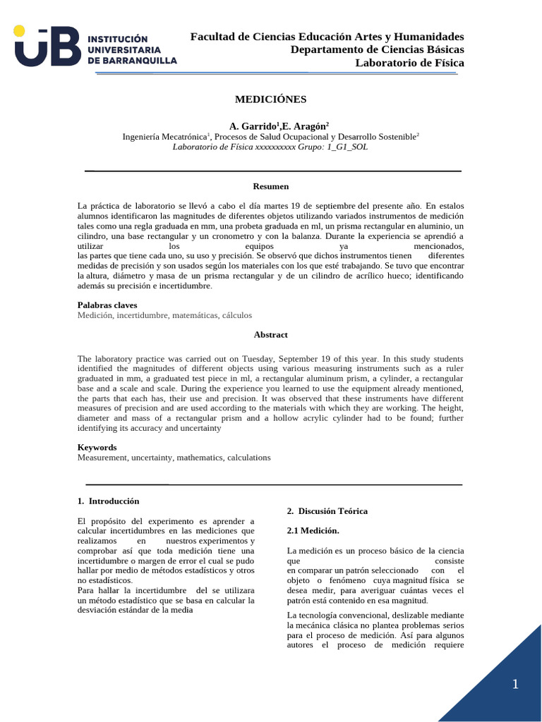 Formato de Informe Iub Lab | PDF