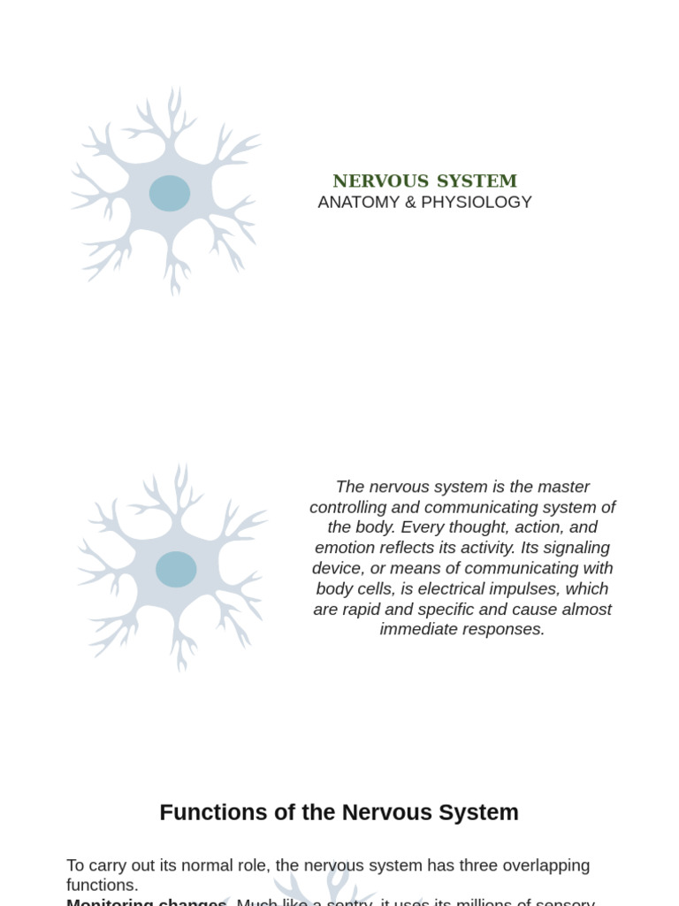 Nervous System 2 Autosaved | PDF
