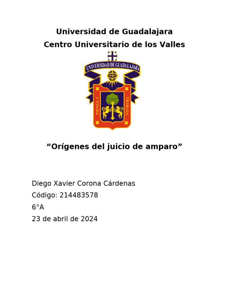 Sintesis de Juicio de AM | PDF | Constitución | Derechos