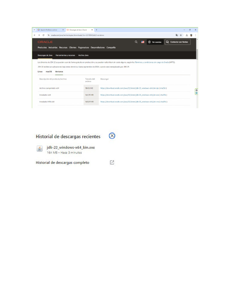Java Instalacion Manual | PDF