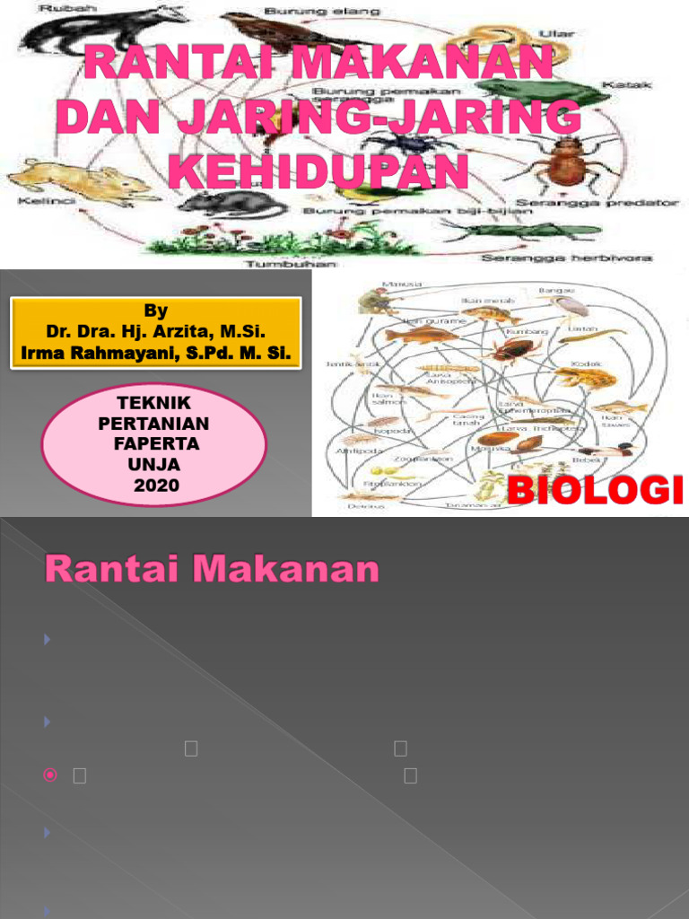 Rantai Makanan Dan Jaring-Jaring Kehidupan | PDF