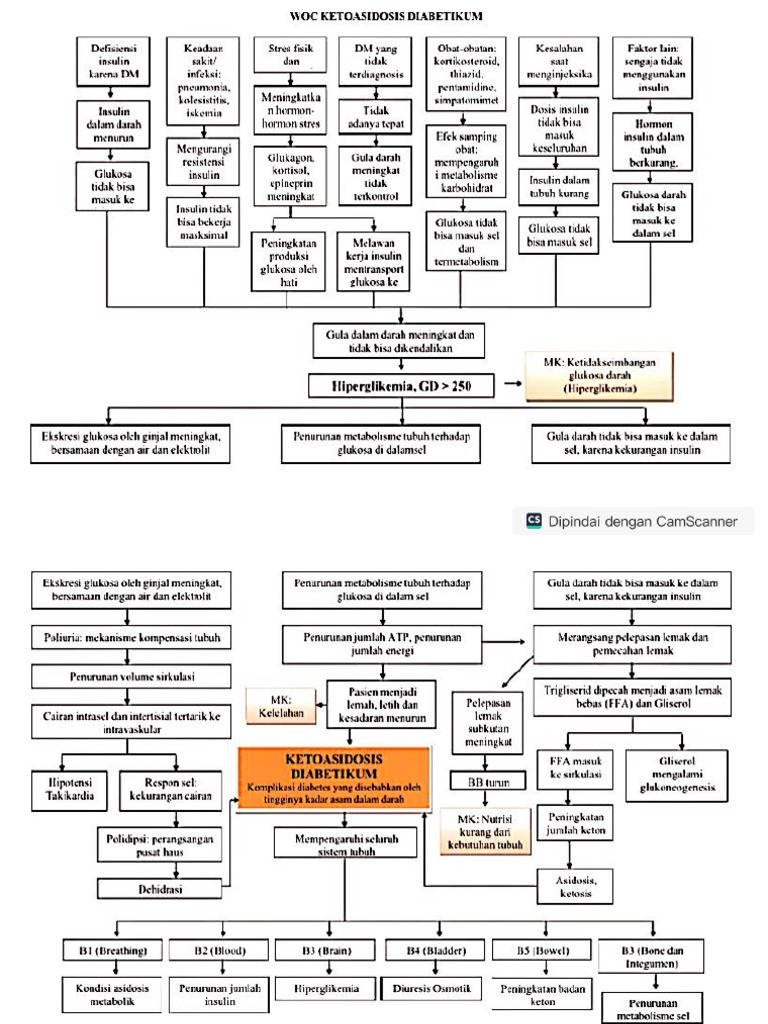 Woc Ketoasidosis Diabetikum | PDF