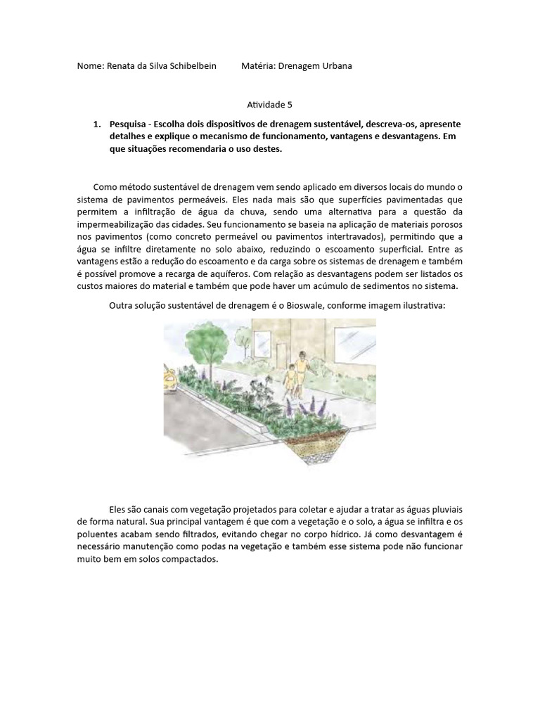 Ativ 5 Drenagem Renata Schibelbein | PDF
