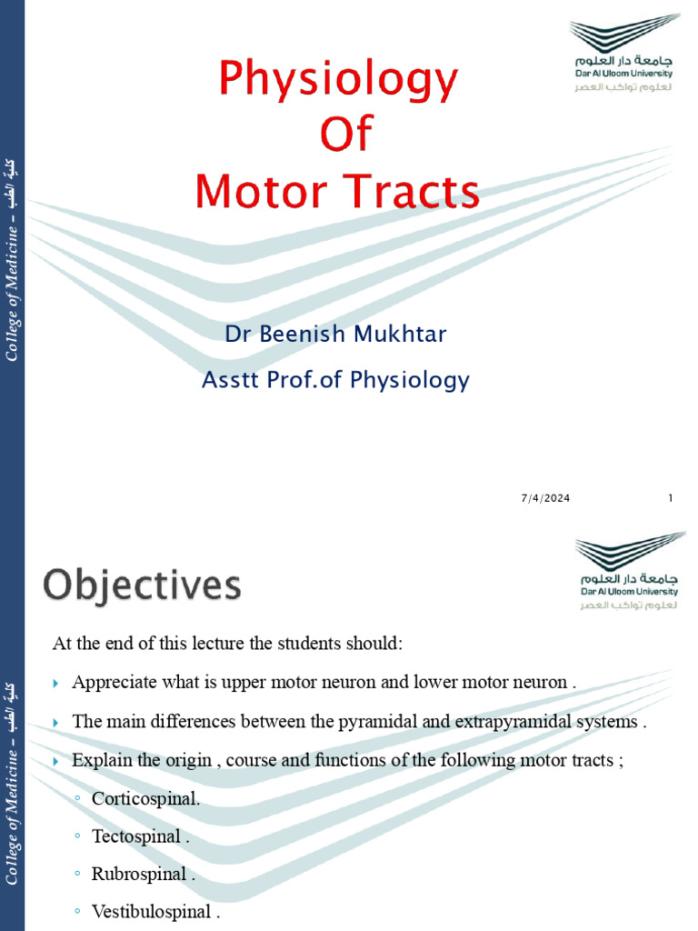 Motor Tracts LuL | PDF