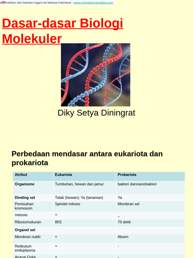 ppt1 Biomol | PDF | Ribosome | Foreign Language Studies
