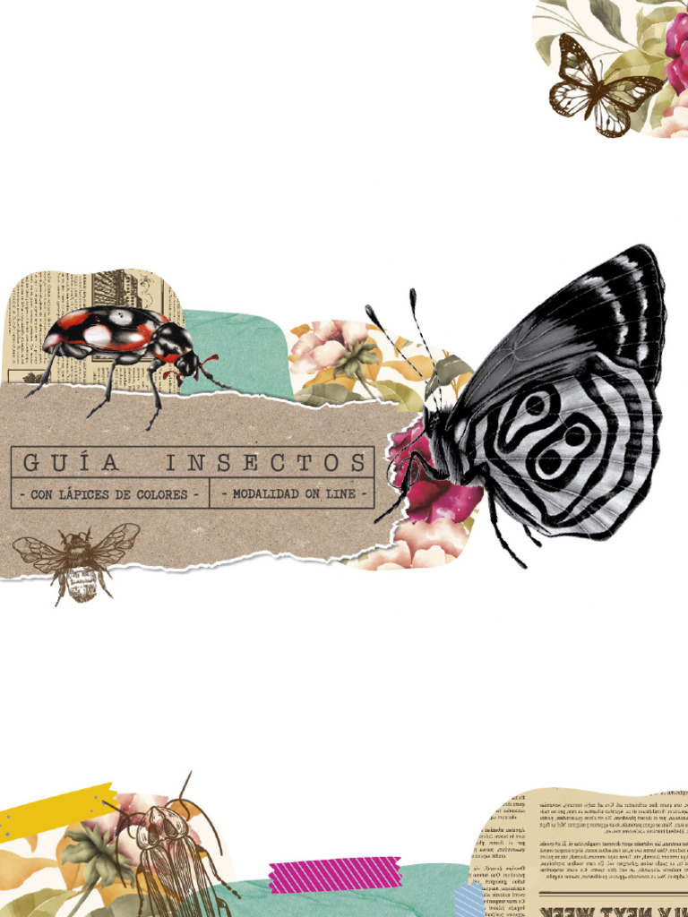 Guía de Taxonomía de Insectos y Aves | PDF | Lepidópteros | Ciencia y ...