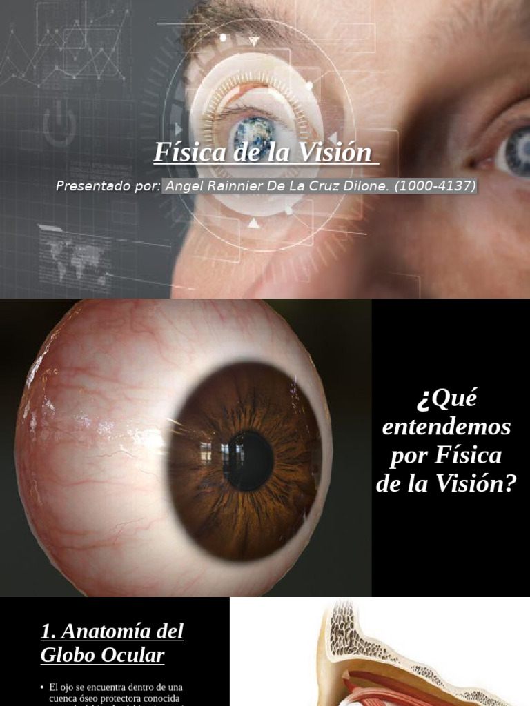 Fisica de La Vision - Angel Rainnier | PDF