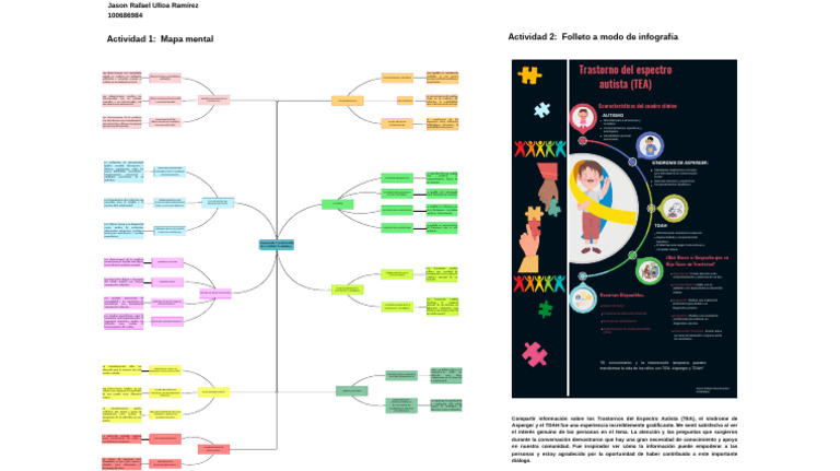 Mapa Mental e Infografía Sobre La Evaluación de La Conducta Anormal. | PDF