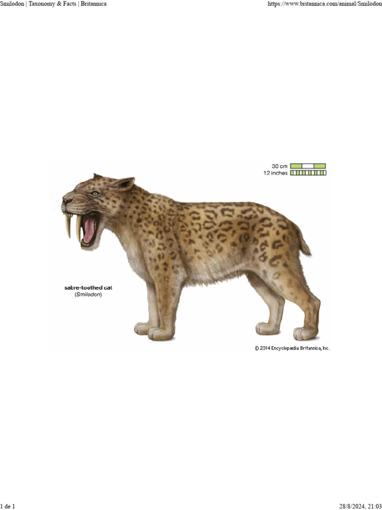 Smilodon - Taxonomy & Facts - Britannica | PDF