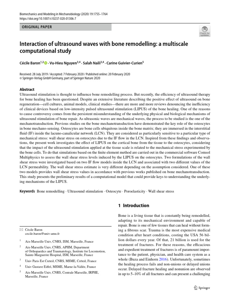 Interaction of Ultrasound Waves With Bone Remodelling: A Multiscale Computational Study | PDF